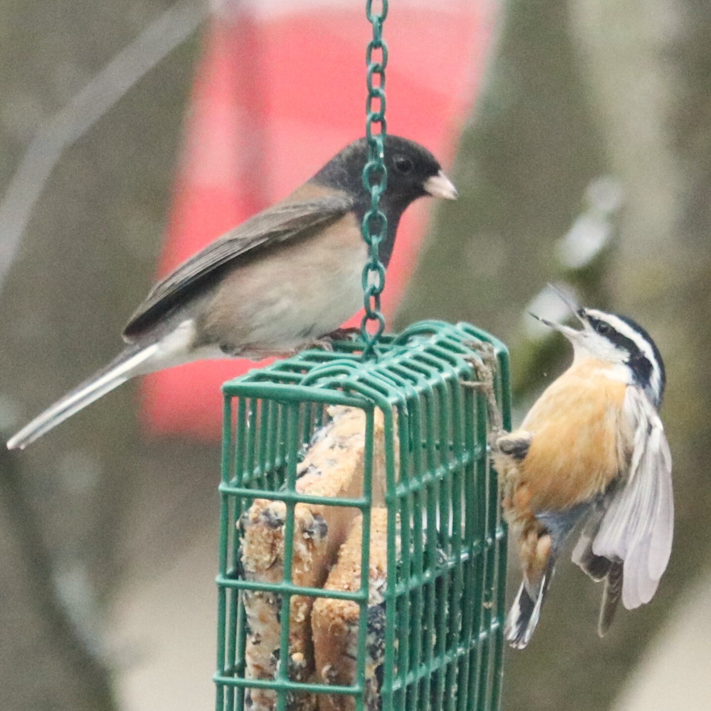 Eric Lippert (@ericlippert@hachyderm.io) - Hachyderm.io