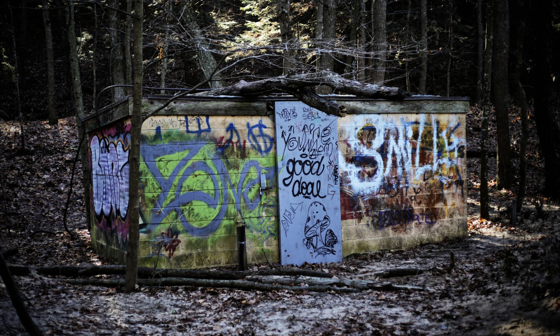 Grayson West (@patternflux@hachyderm.io) - Hachyderm.io