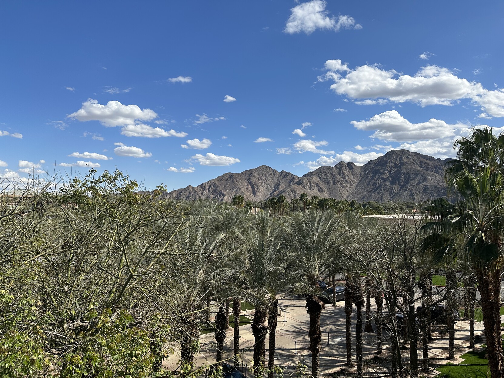 Mitchell Hashimoto (@mitchellh@hachyderm.io) - Hachyderm.io