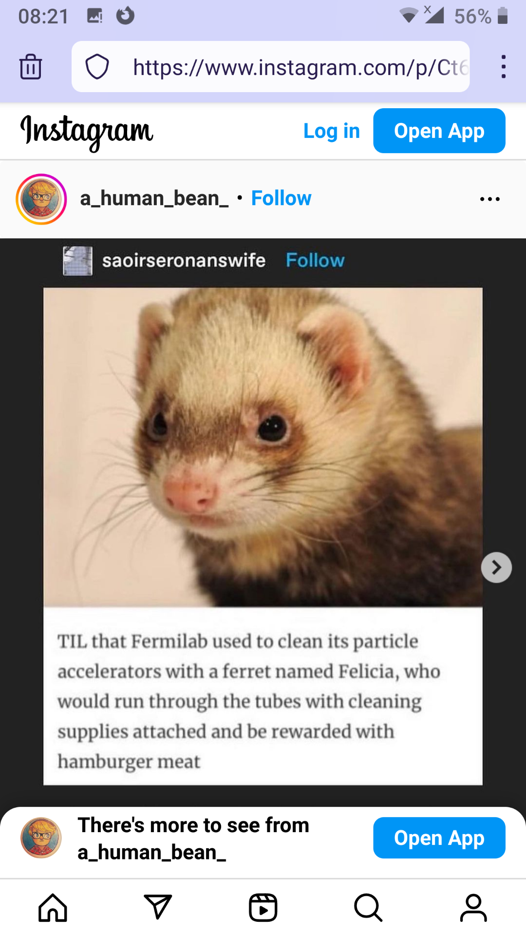 sleepyfox (Is not a 🐦) (@sleepyfox@hachyderm.io) - Hachyderm.io