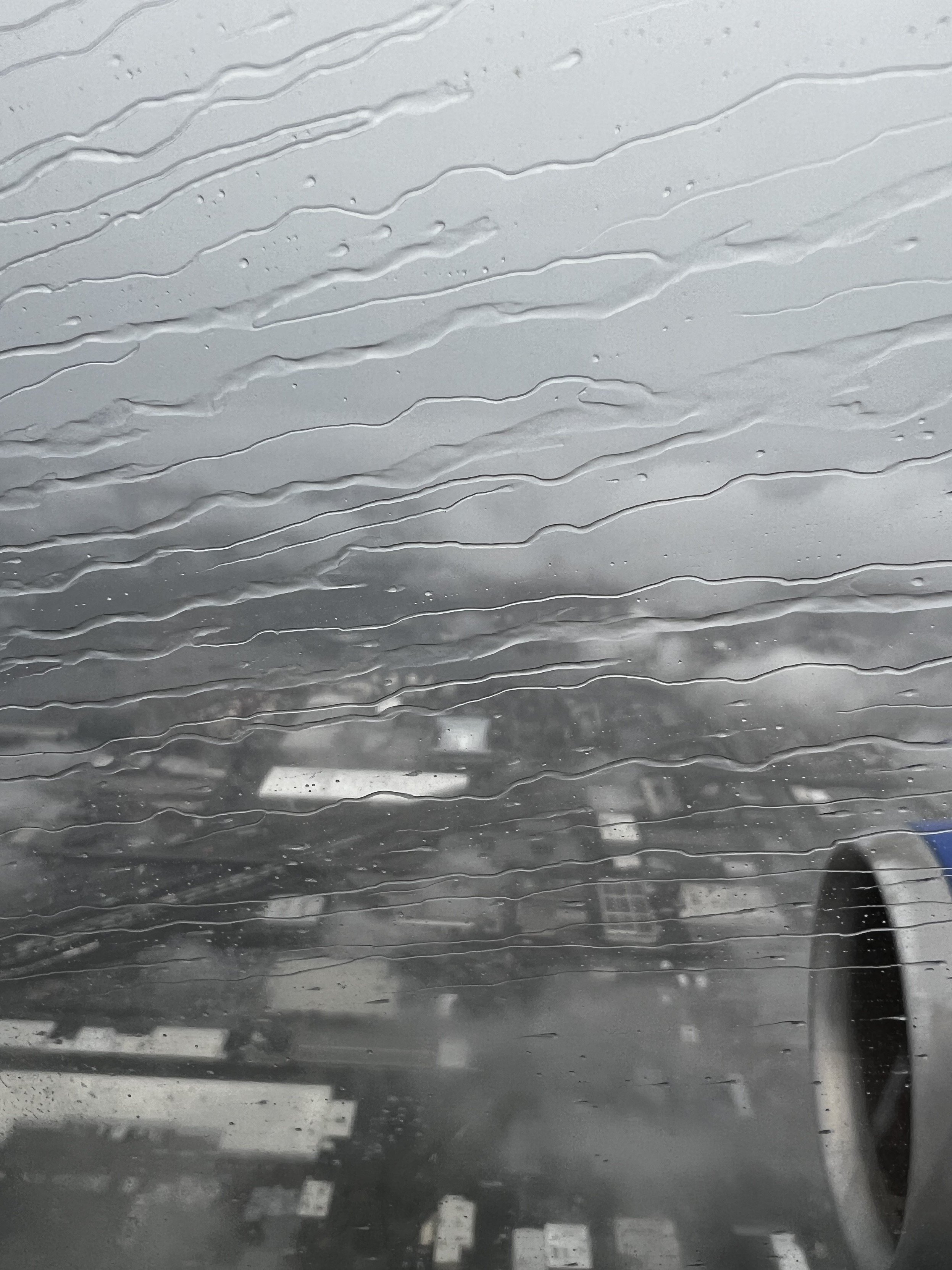 Tyler Lund (@tylopoda@hachyderm.io) - Hachyderm.io