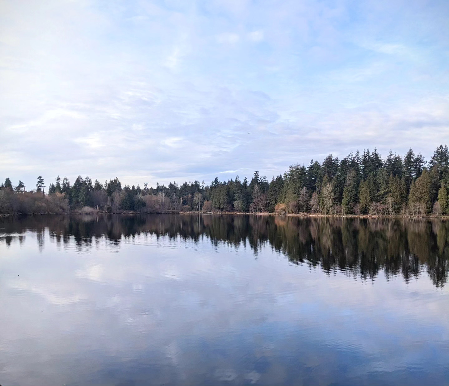 Charlie Gerard (@devdevcharlie@hachyderm.io) - Hachyderm.io