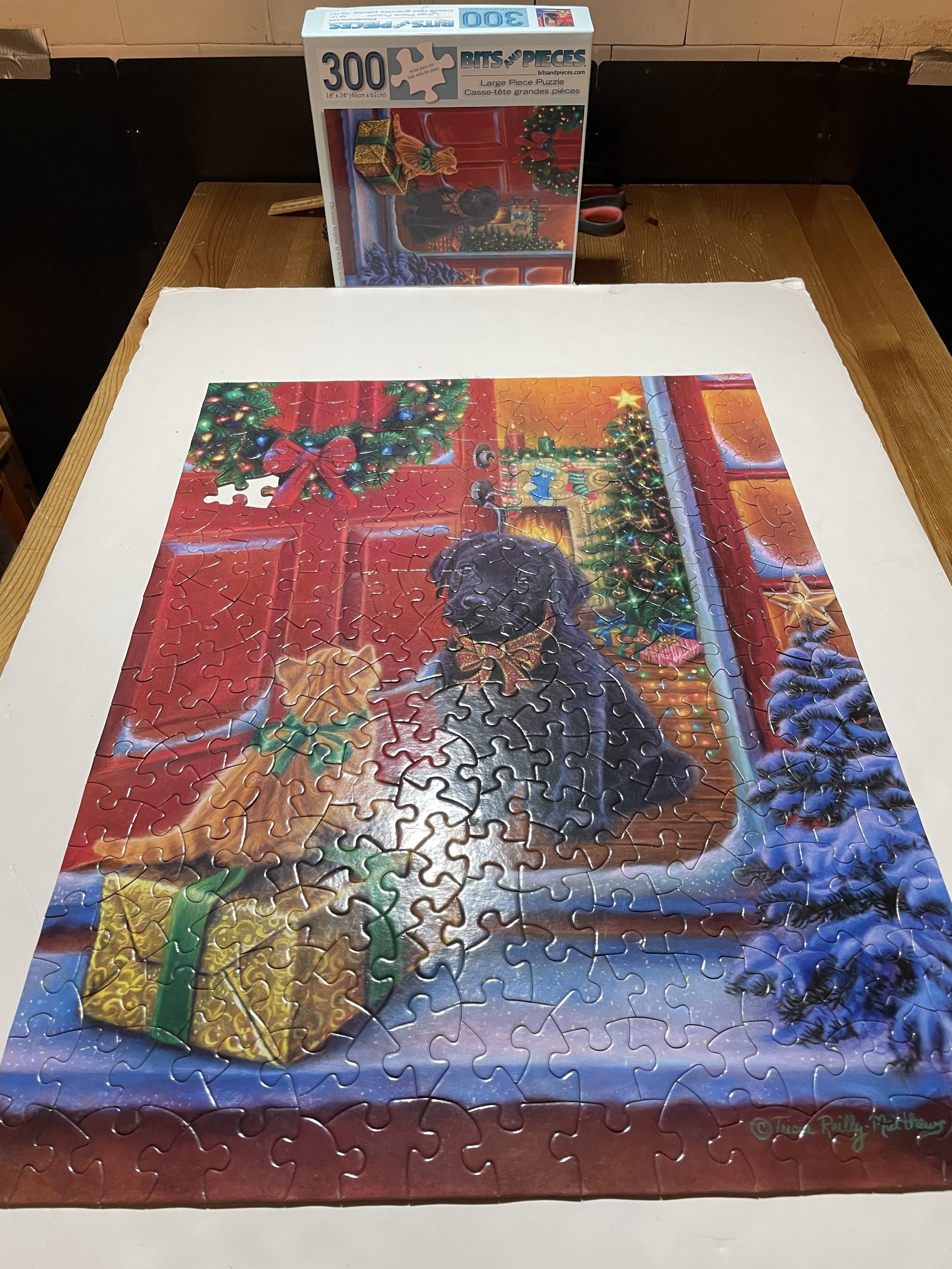 Judy Anderson (@nosrednayduj@hachyderm.io) - Hachyderm.io