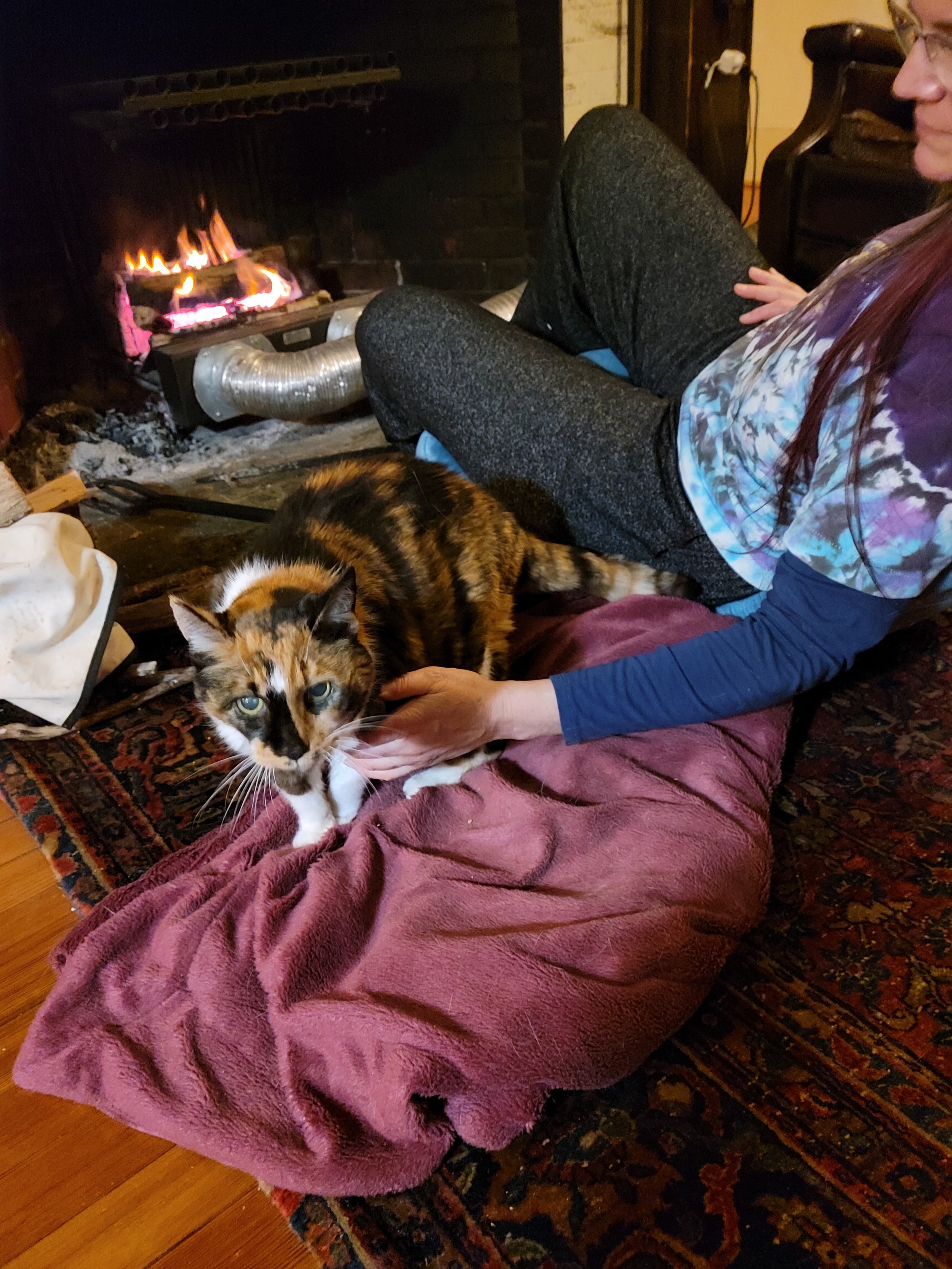 Judy Anderson (@nosrednayduj@hachyderm.io) - Hachyderm.io