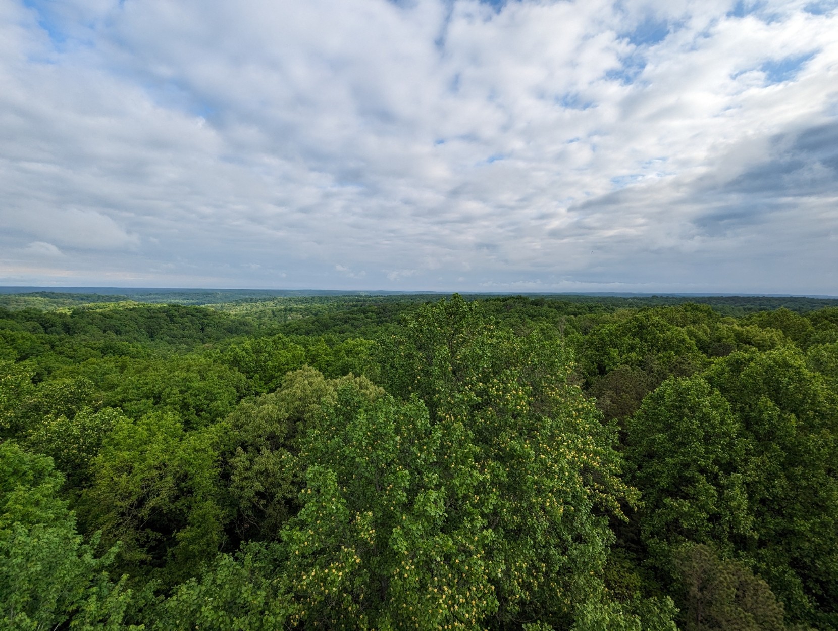 Jason Butz (@jbutz@hachyderm.io) - Hachyderm.io