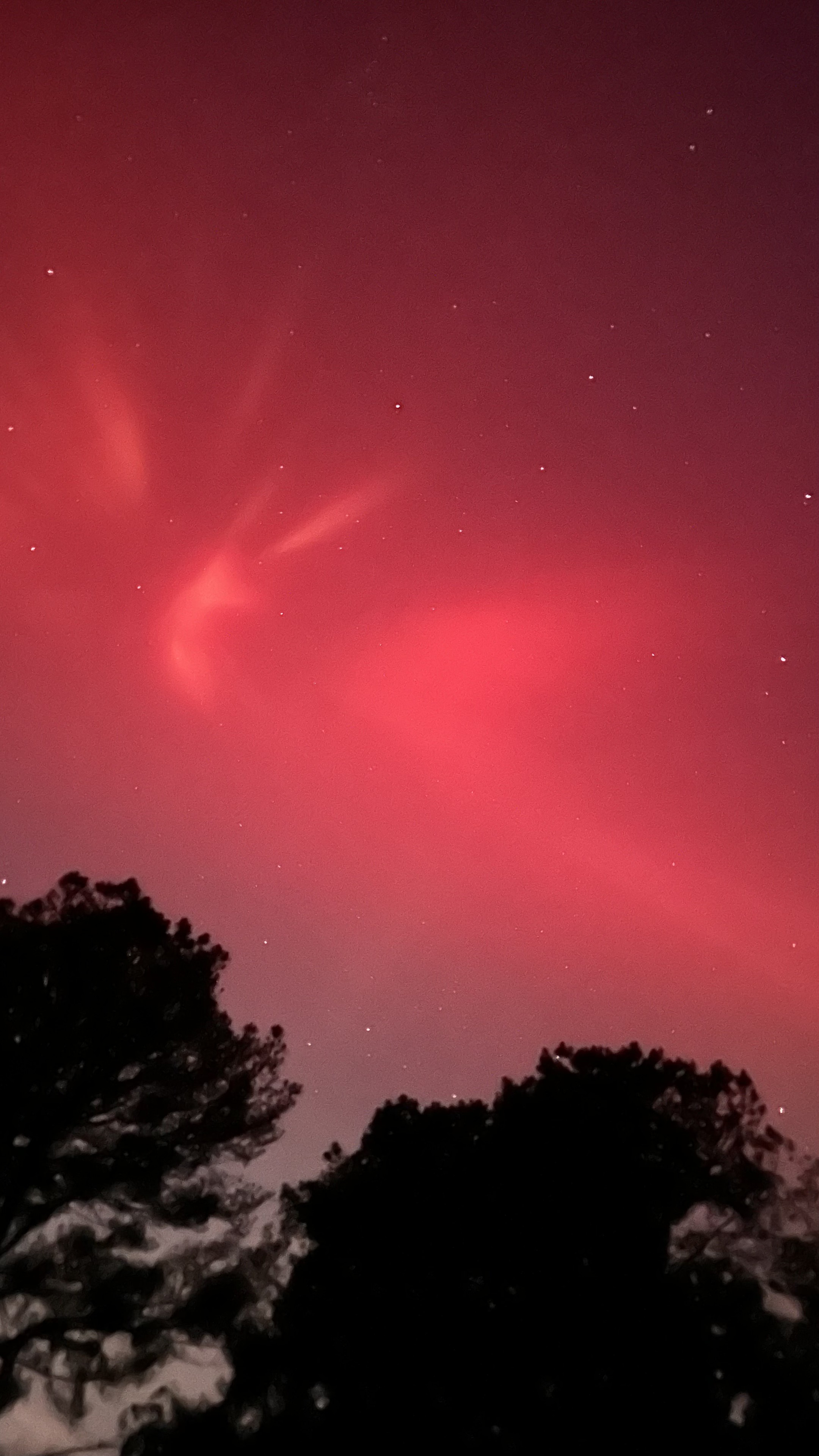 vincent (@papayaga@hachyderm.io) - Hachyderm.io