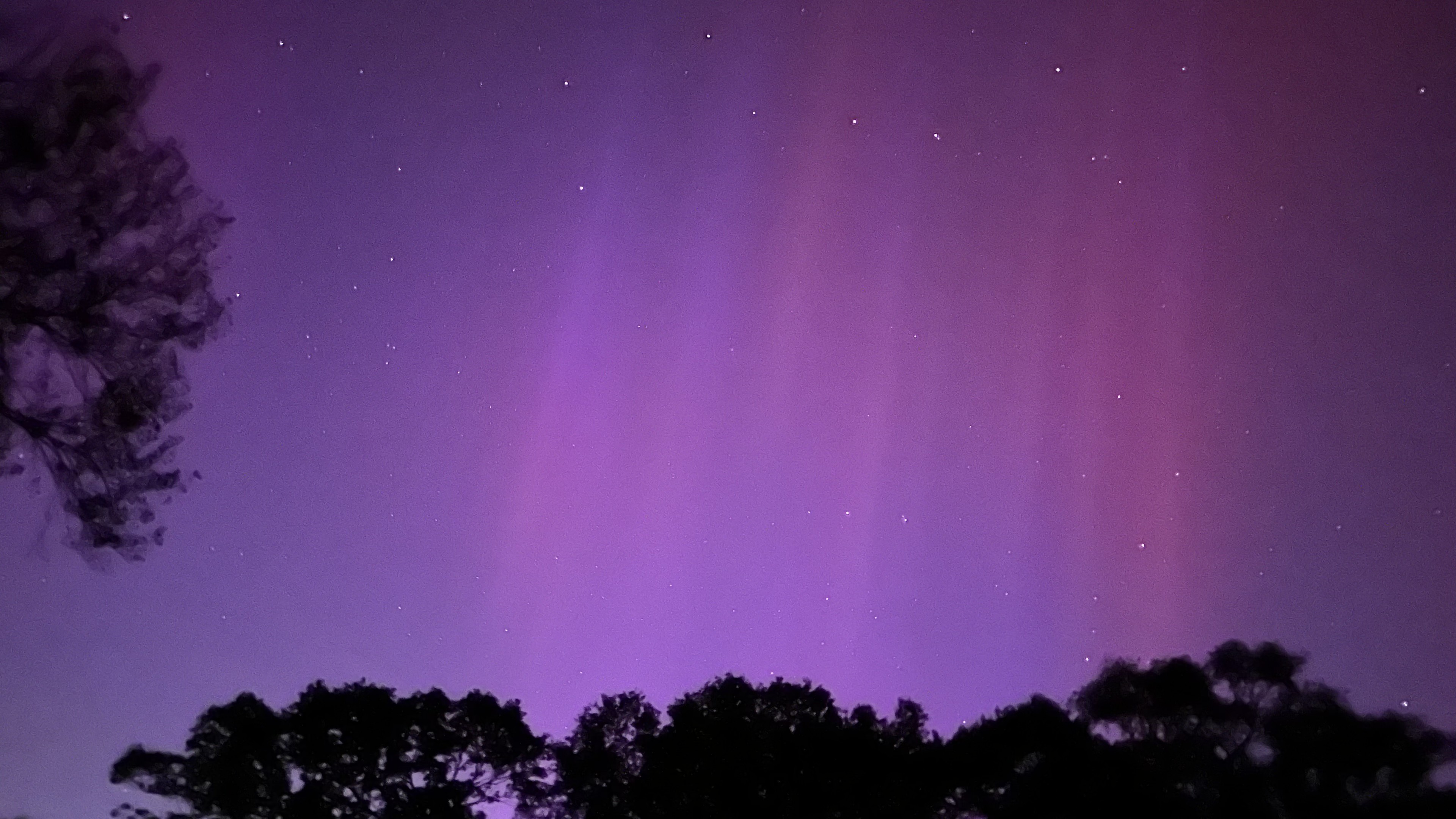 vincent (@papayaga@hachyderm.io) - Hachyderm.io