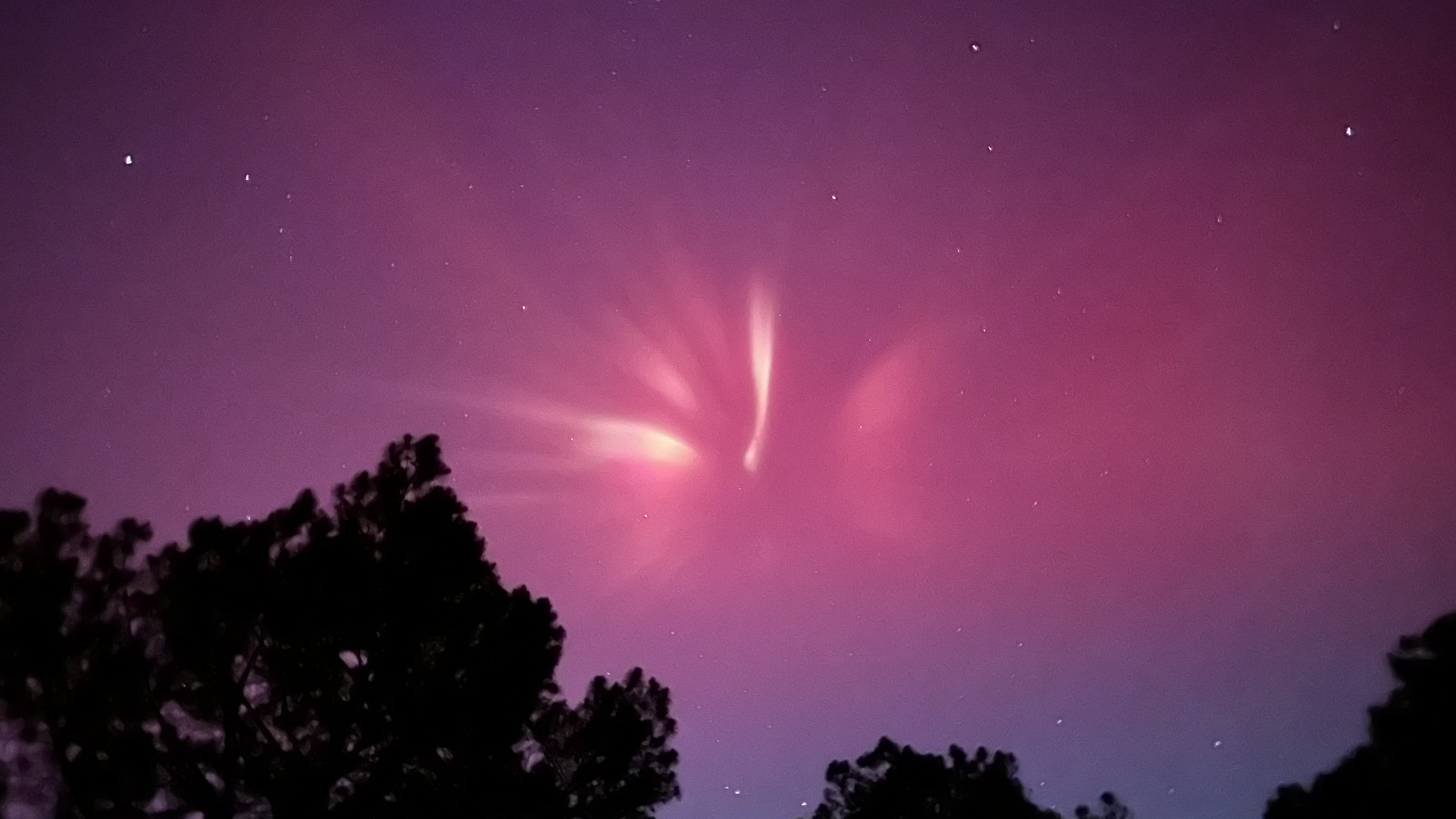 vincent (@papayaga@hachyderm.io) - Hachyderm.io