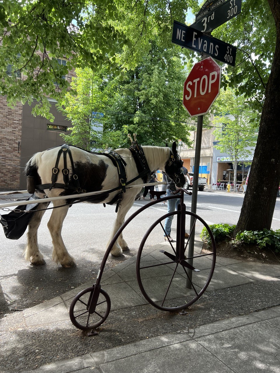 Ryan Williams (@ryanwi@hachyderm.io) - Hachyderm.io