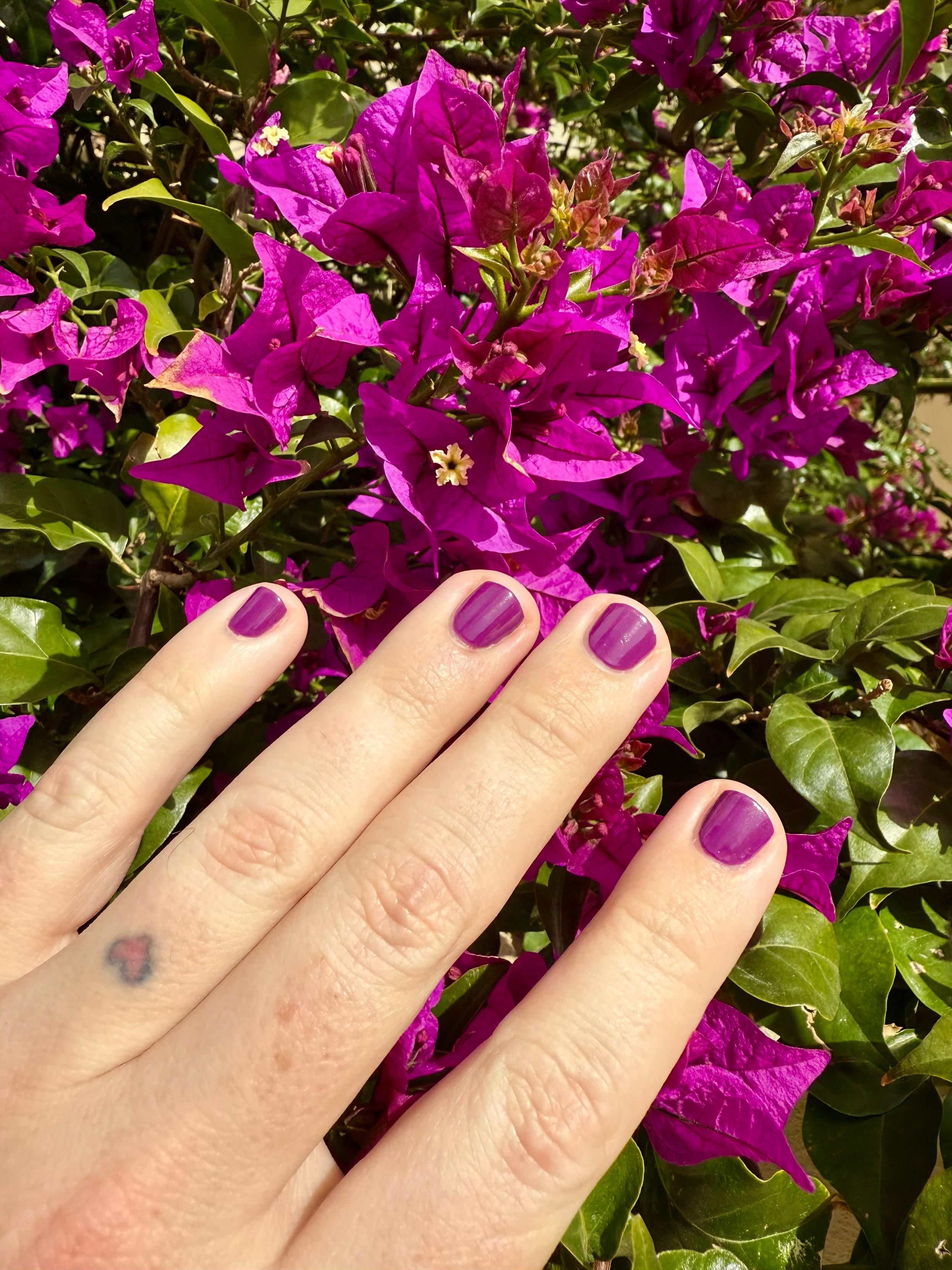 Timid Robot (@TimidRobot@hachyderm.io) - Hachyderm.io